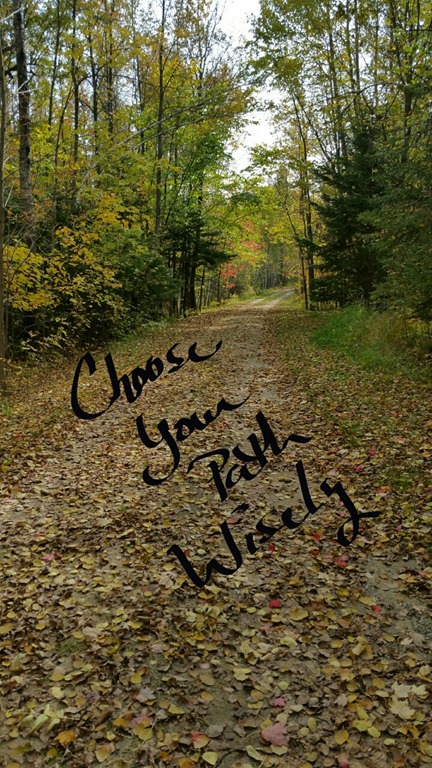 Choose Your Path Wisely – Minnesota D.A.R.E. Kids Blog